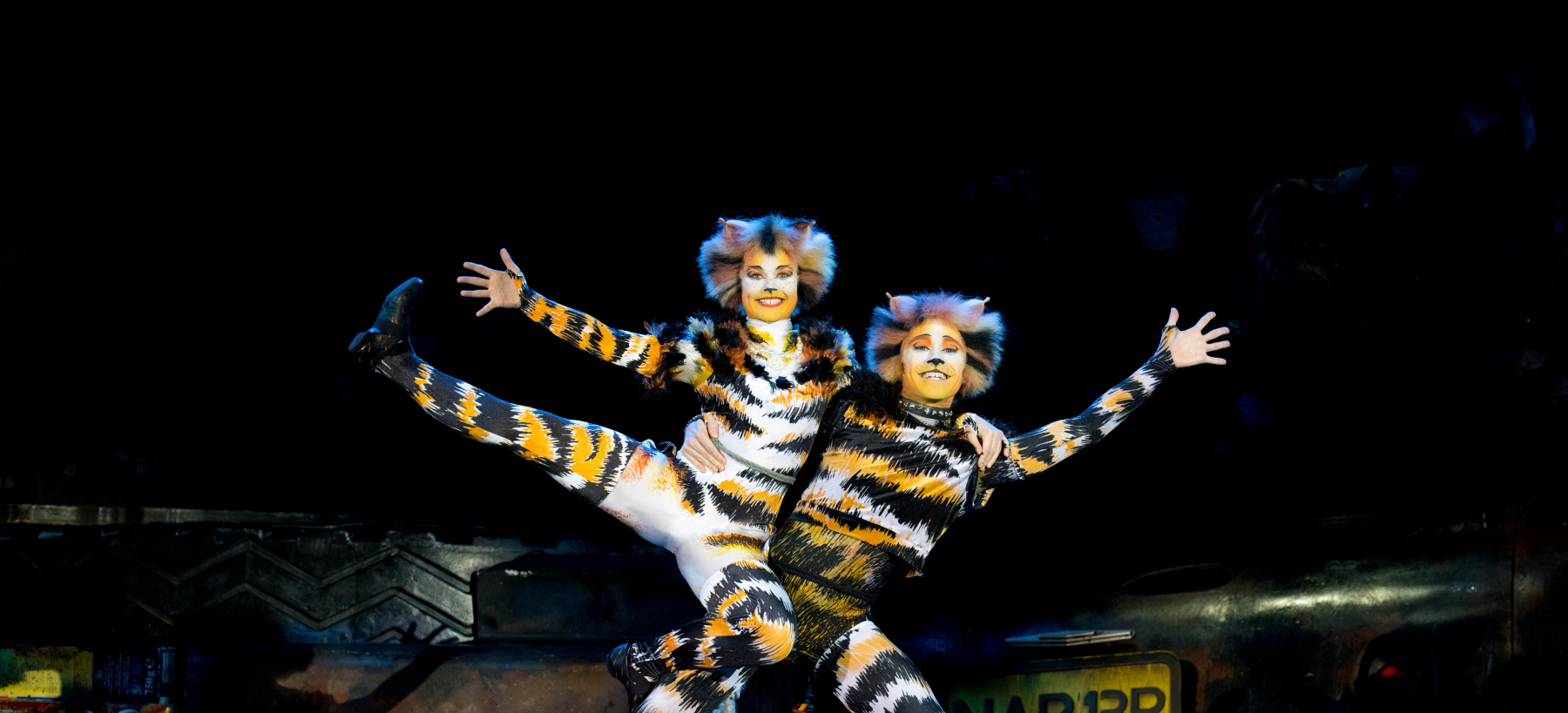 CATS - das Musical - als Sommergastspiel 2025 im Landestheater Linz in ...