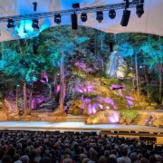 Lukas Mayer - im Porträt - Wir Musical-Fans